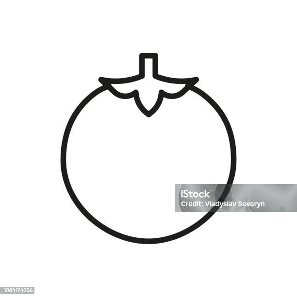 Icône De Contour De Tomate Symbole De Légume Des Aliments Sains Vector