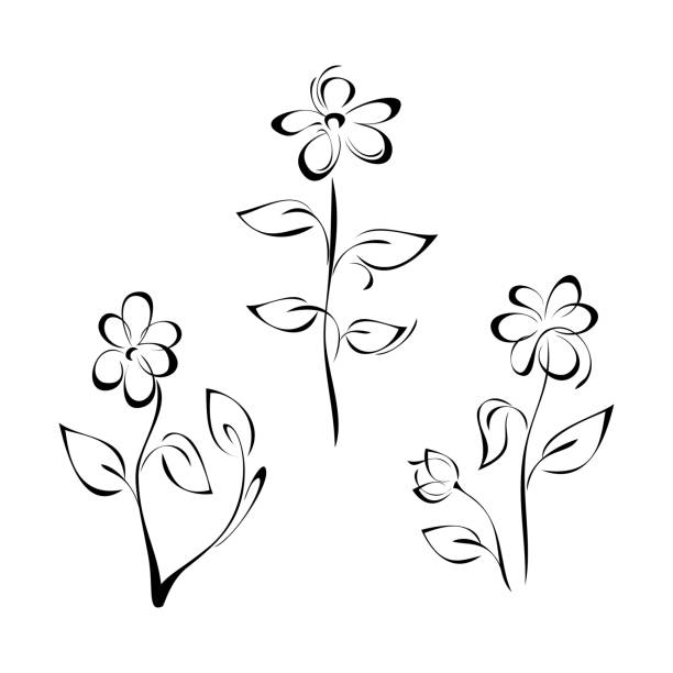 Three Flowers Tattoo Illustrations Royalty Free Vector Graphics And Clip Art Istock