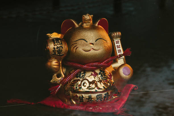 Lucky Cat Pictures | Download Free Images on Unsplash