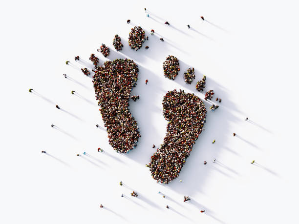 Digital Footprint Pictures | Download Free Images on Unsplash