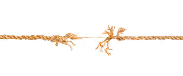 Frayed Rope Pictures | Download Free Images on Unsplash