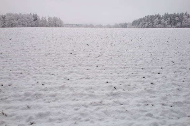 Free Stock Photo of Snow Covered Field With Trees and House in Distance ...