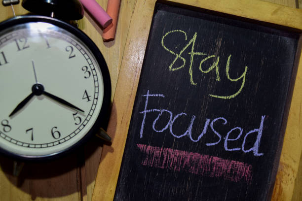 Stay Focused Pictures | Download Free Images on Unsplash