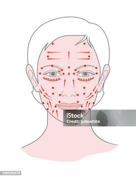 Vetores De Massagem Shiatsu Pontos Cara Acupuntura E Mais Imagens De