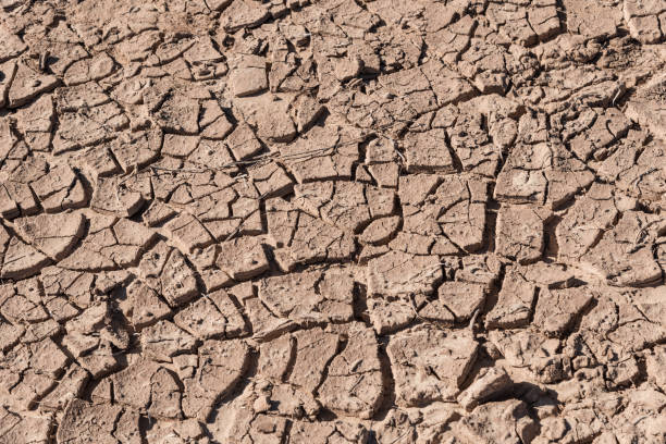 Free picture: Dry grey rough mud on ground in drought season