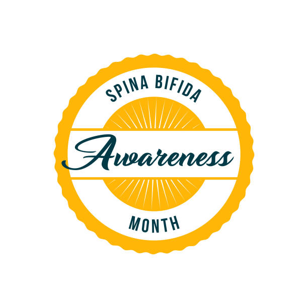 20 Spinal Bifida Stock Illustrations Royalty Free Vector Graphics