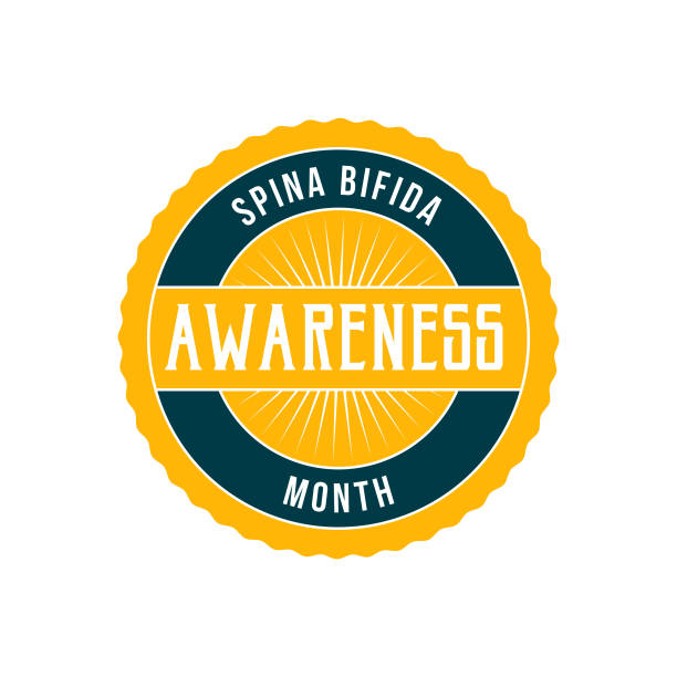 20 Spinal Bifida Stock Illustrations Royalty Free Vector Graphics