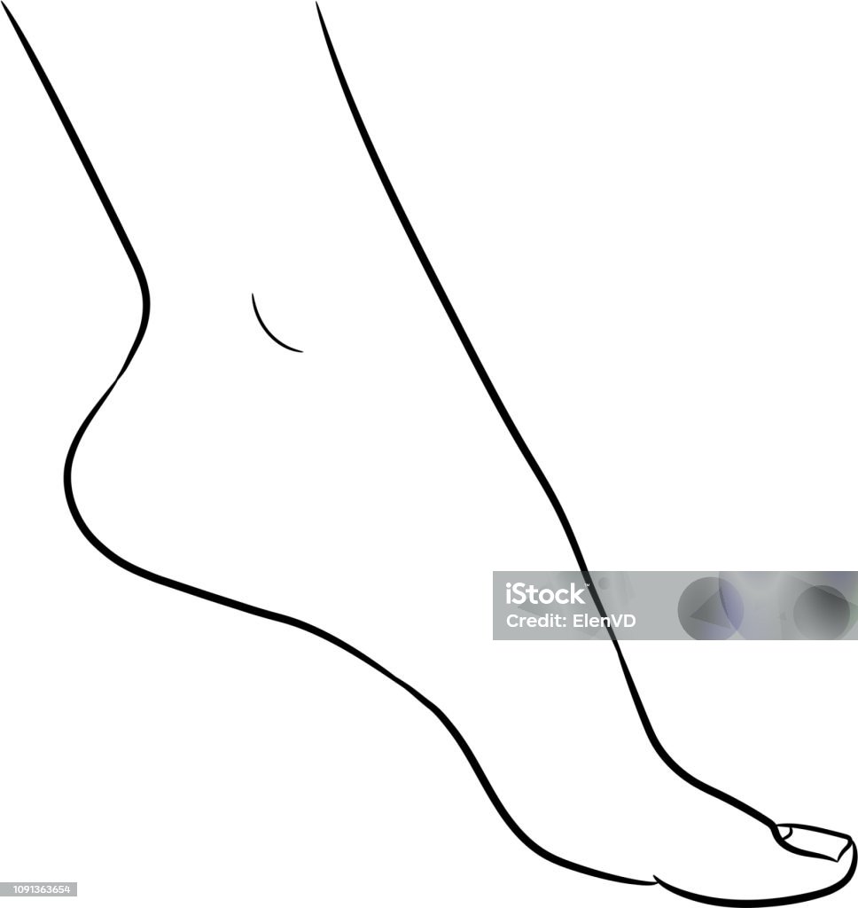 Foot Female From The Contour Black Brush Lines On White Background