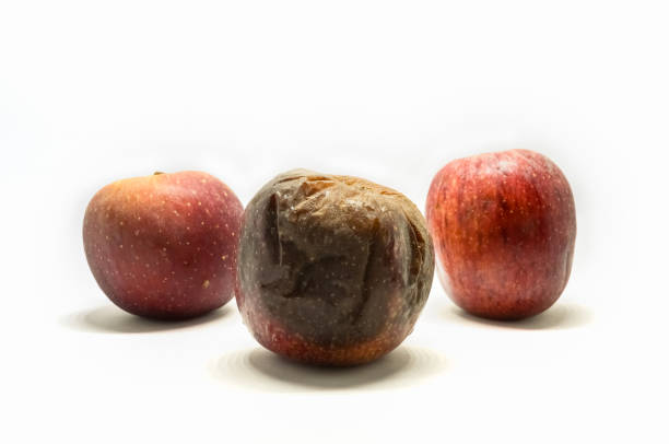 Bad Apple Pictures | Download Free Images on Unsplash