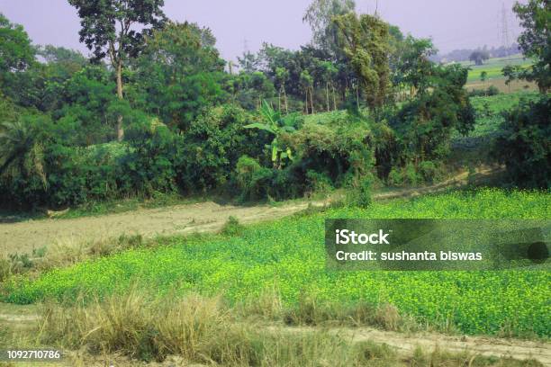 Stock fotografie Fotografování Indické Vesnice Krajiny – stáhnout ... Stock fotografie Fotografování Indické Vesnice Krajiny – stáhnout ...