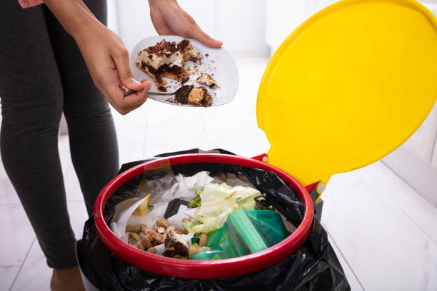 Kitchen Waste Pictures | Download Free Images on Unsplash