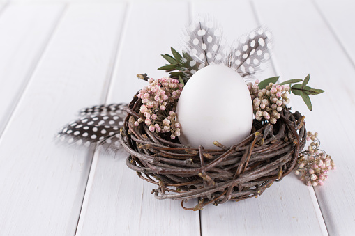 Dekorasi Telur Paskah Sarang Dengan Telur Ayam Putih Kartu Ucapan ... Dekorasi Telur Paskah Sarang Dengan Telur Ayam Putih Kartu Ucapan ...