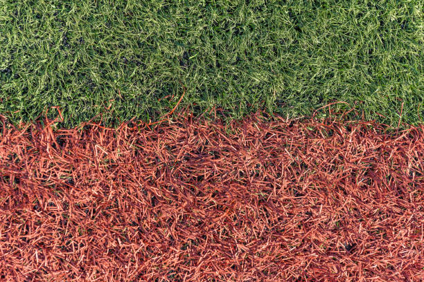 Baseball Field Grass Texture Seamless