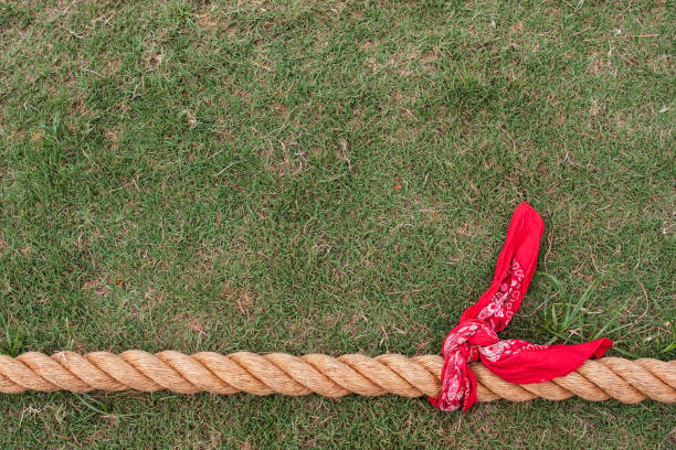 Sports Day Pictures | Download Free Images on Unsplash