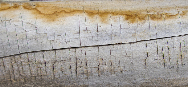 Photo Libre De Droit De Structure Bois Abstraite Sur La Surface Du