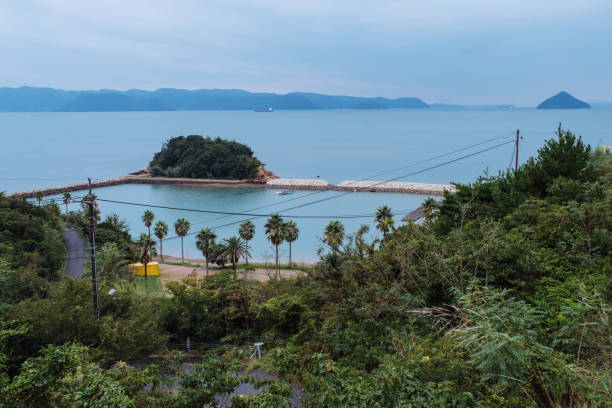 Naoshima Pictures | Download Free Images on Unsplash