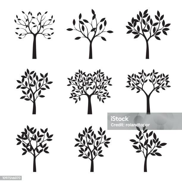 Ensemble Darbres Noirs Avec Des Feuilles Illustration Vectorielle