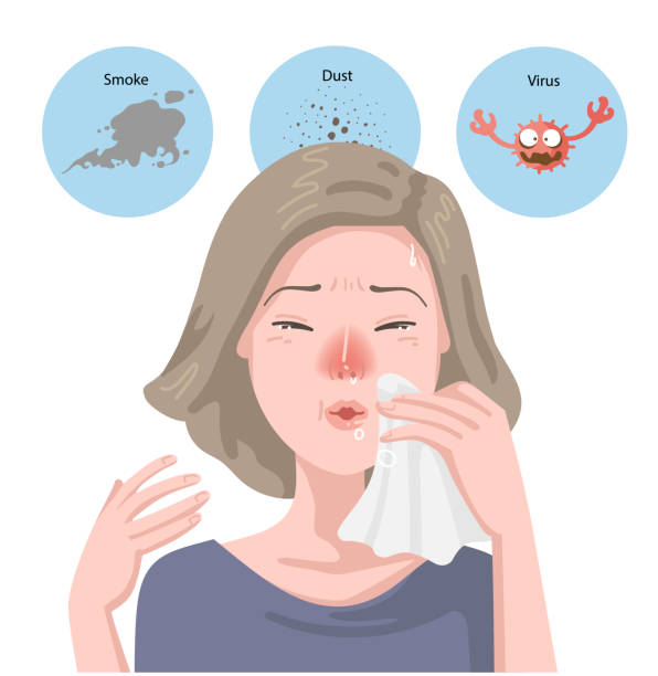 8 200 Sinusitis Ilustraciones De Stock Gráficos Vectoriales Libres De