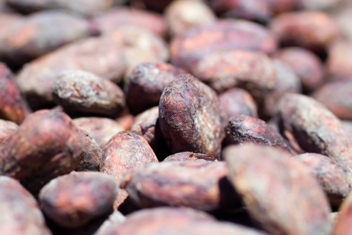 Nutmeg 육두구에 대한 스톡 사진 및 기타 이미지 육두구 클로즈업 0명 Istock