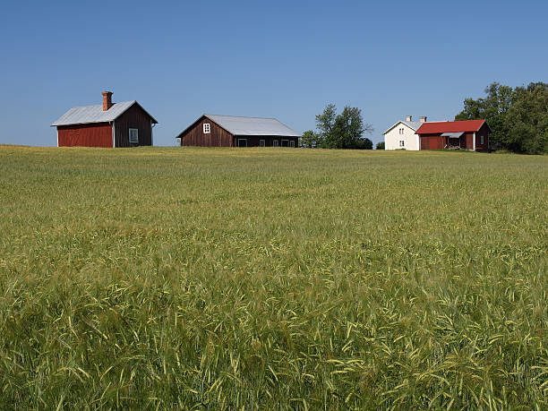 Free picture: barley, field, farmhouse, farmland, agriculture ...