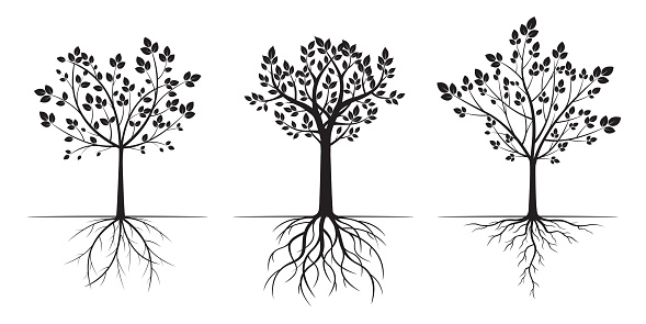 Ensemble Darbres Noirs Avec Des Feuilles Illustration Vectorielle