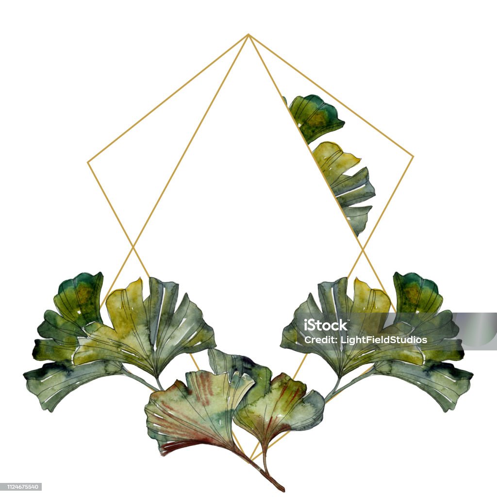 Yellow Green Ginkgo Biloba Leaf Watercolor Background Illustration Set
