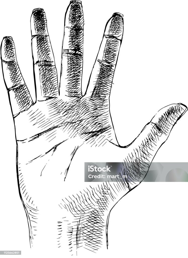 Gerakan Tangan Telapak Tangan Sketsa Ilustrasi Stok Unduh Gambar Sekarang Arsiran Bagian