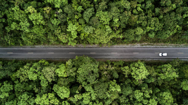 Road Top View Pictures | Download Free Images on Unsplash