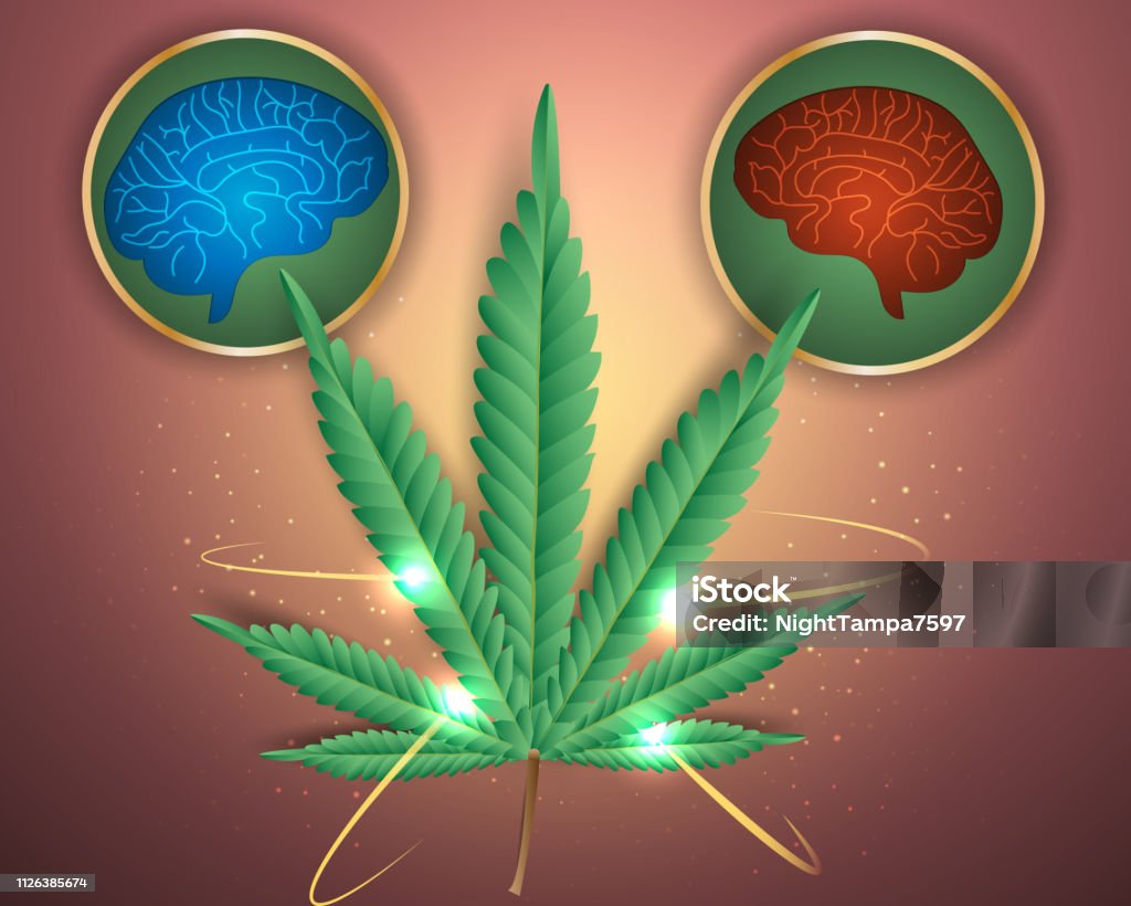 Wirkungen Von Marihuana Cannabis Auf Der Brainvector Stock Vektor Art ... Wirkungen Von Marihuana Cannabis Auf Der Brainvector Stock Vektor Art ...