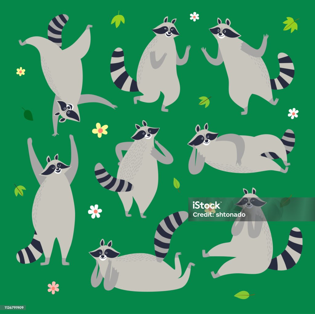 Ilustración De Cute Dibujos Animados Mapaches Conjunto Y Más Vectores