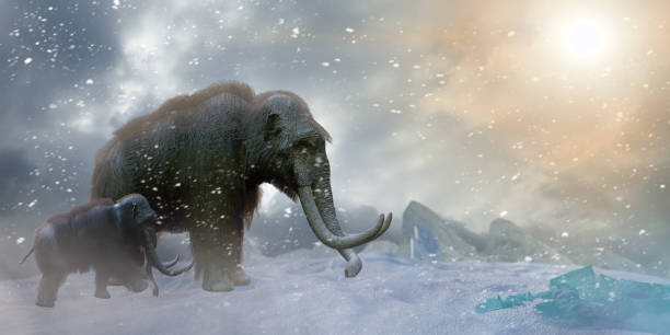 2900 Mamut Lanudo Ilustraciones Fotografías De Stock Fotos E
