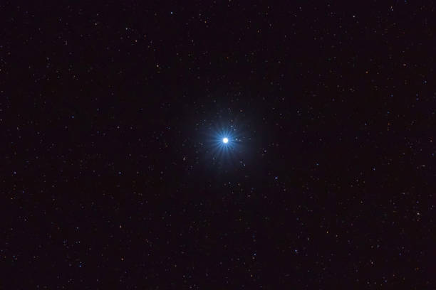 Sirius Pictures | Download Free Images on Unsplash