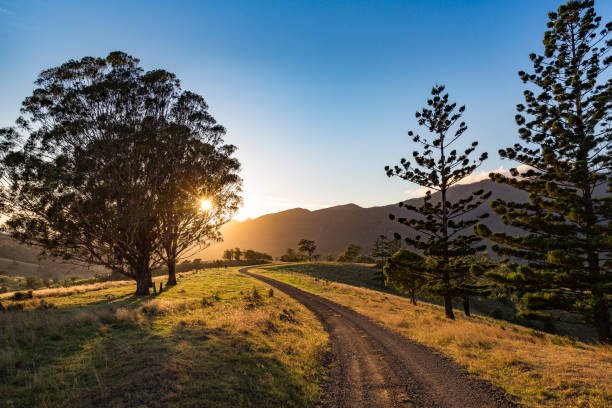 Queensland Australia Pictures | Download Free Images on Unsplash