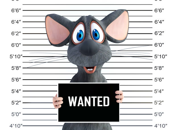 30,000+ Free Cartoon Rat & Rat Images - Pixabay