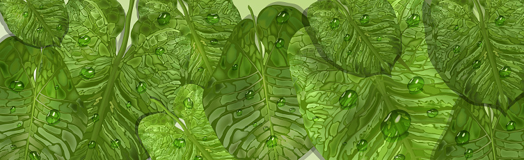 Elemen Daun Realistis Dengan Tetesan Air Embun Latar Belakang Daun Hijau Vektor Tampilan Atas