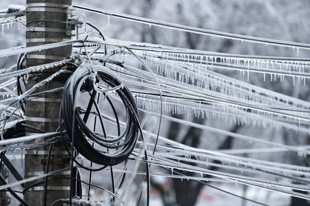 Free picture: frozen, wires, barbed wire, fence, ice, ice crystal ...