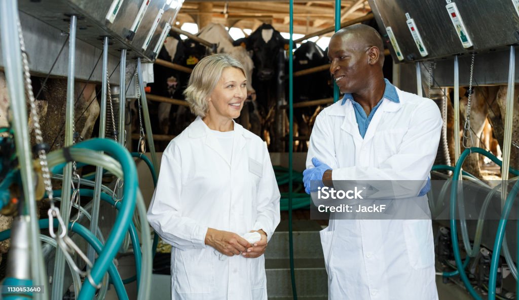 Two Farm Milkmaids Male And Female Standing Near Modern Cow Milking