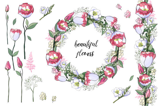 Gypsophile Couronne Vectoriels Et Illustrations Libres De Droits Istock