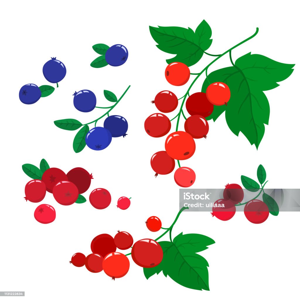 Vector Ensemble Canneberges De Dessin Animé Et Bleuets Avec Des ... Vector Ensemble Canneberges De Dessin Animé Et Bleuets Avec Des ...