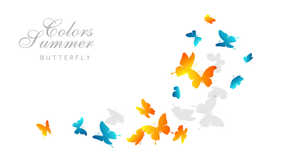 Flying Butterflies Vector Decoration Element Stock Illustration