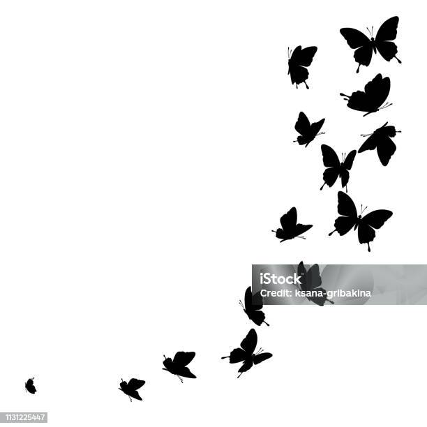 Flying Butterflies Vector Decoration Element Stock Illustration