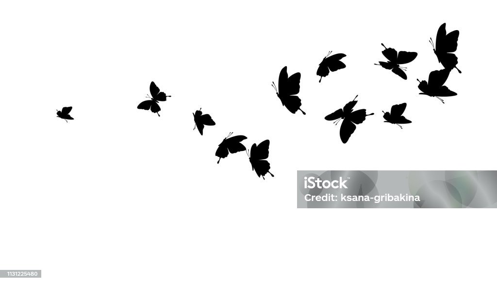 Flying Butterflies Vector Decoration Element Stock Illustration