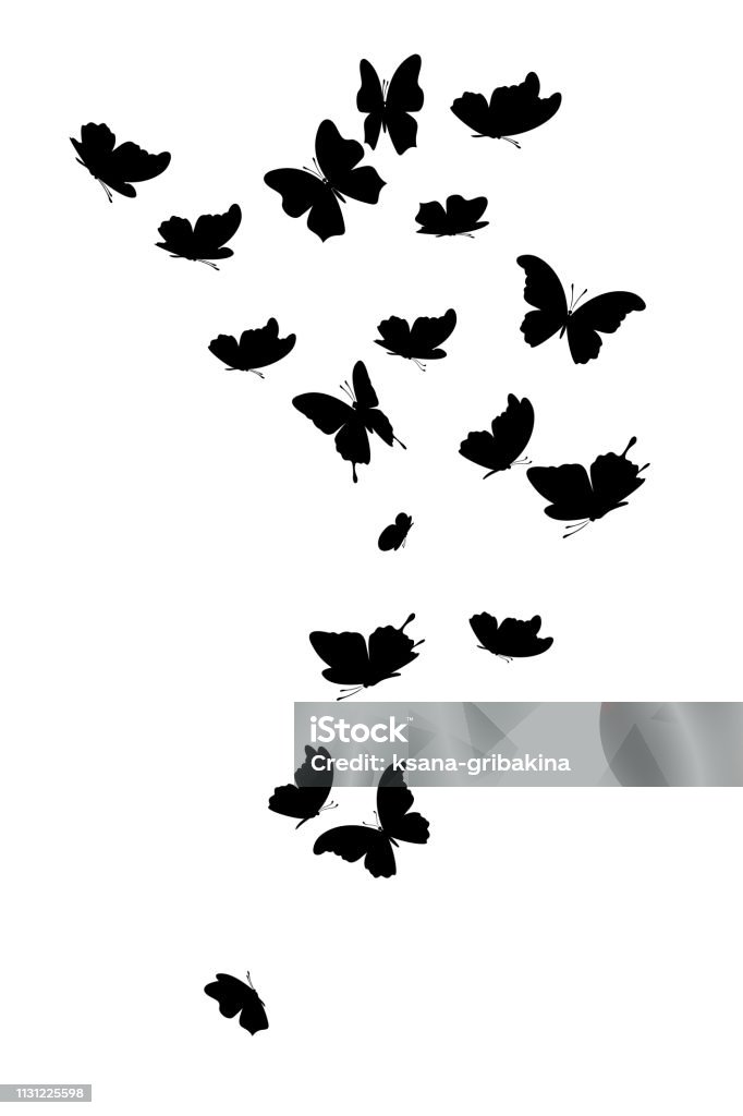 Flying Butterflies Vector Decoration Element Stock Illustration