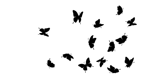 Flying Butterflies Vector Decoration Element Stock Illustration