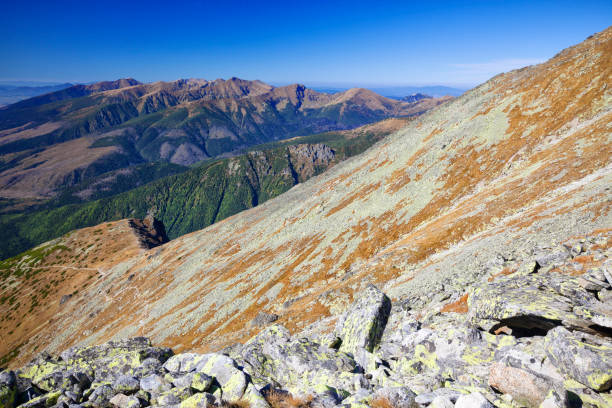 Karpaty Pictures | Download Free Images on Unsplash