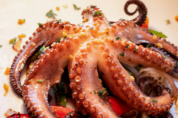 Pulpo Pictures | Download Free Images on Unsplash