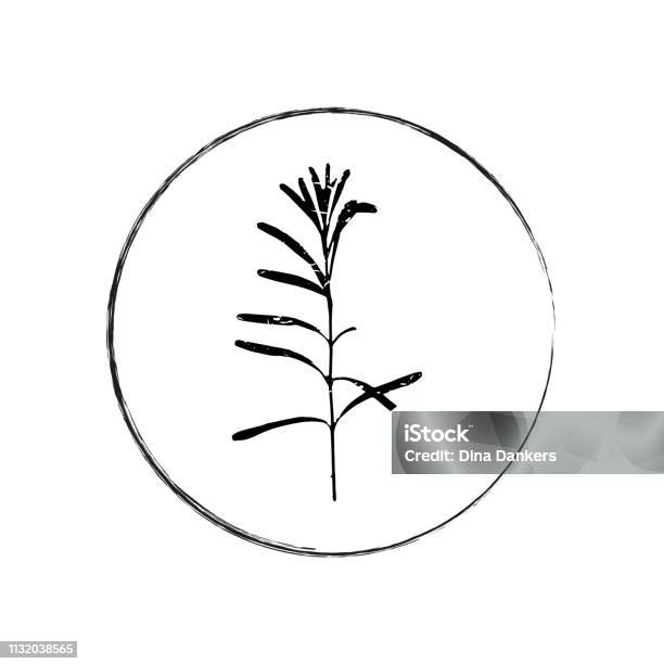 Vektör Çiçek Logosu Beyaz Arka Planda Izole Tahrip Silüeti Ile Botanik ... Vektör Çiçek Logosu Beyaz Arka Planda Izole Tahrip Silüeti Ile Botanik ...