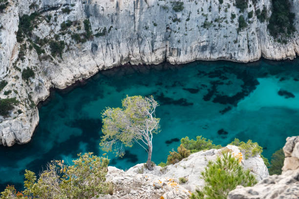 Calanque Den Vau Foto Stok Potret And Gambar Bebas Royalti Istock