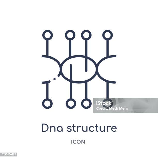 Vetores De Ícone Linear Da Estrutura Do Adn Da Coleção Futura Do Esboço