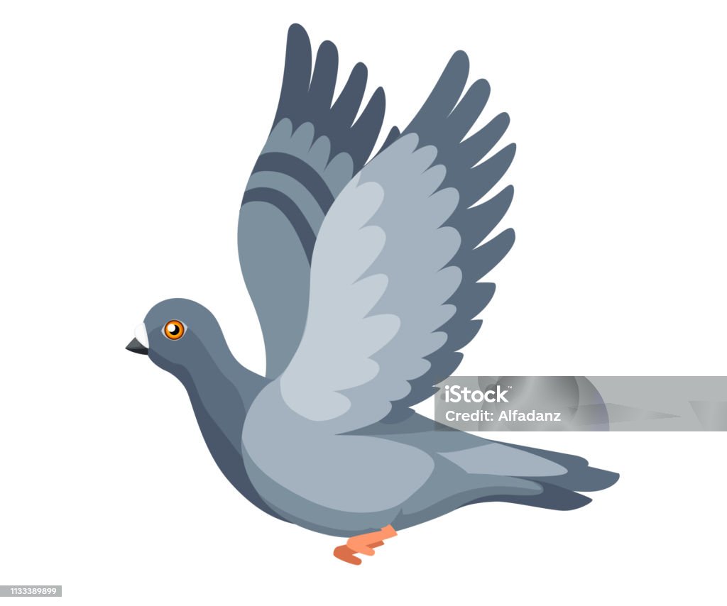 Burung Merpati Terbang Merpati Mengepakkan Sayapnya Desain Karakter